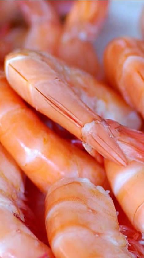 Fresh Shrimp from Fabian Seafood - Galveston Texas - Red Snapper